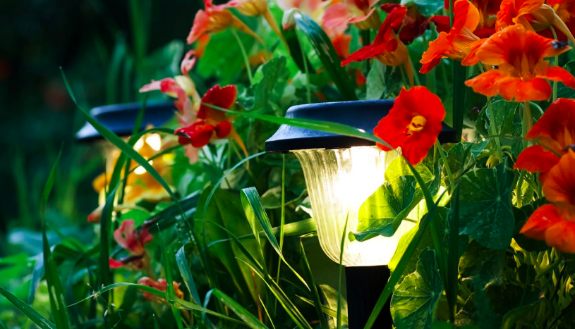 Landscape Lighting Design Guide: Everything You Need to Know